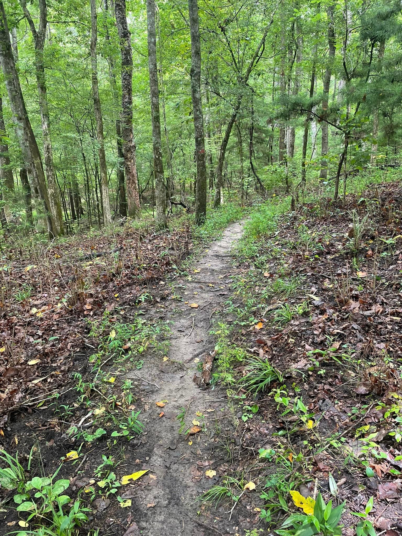 Trail System Photos - ThePondsSCResidents