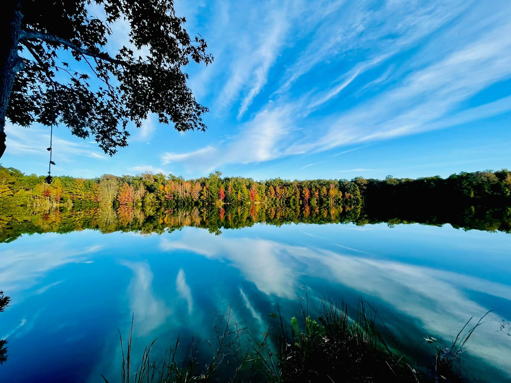 Nature Scenes Page - ThePondsSCResidents