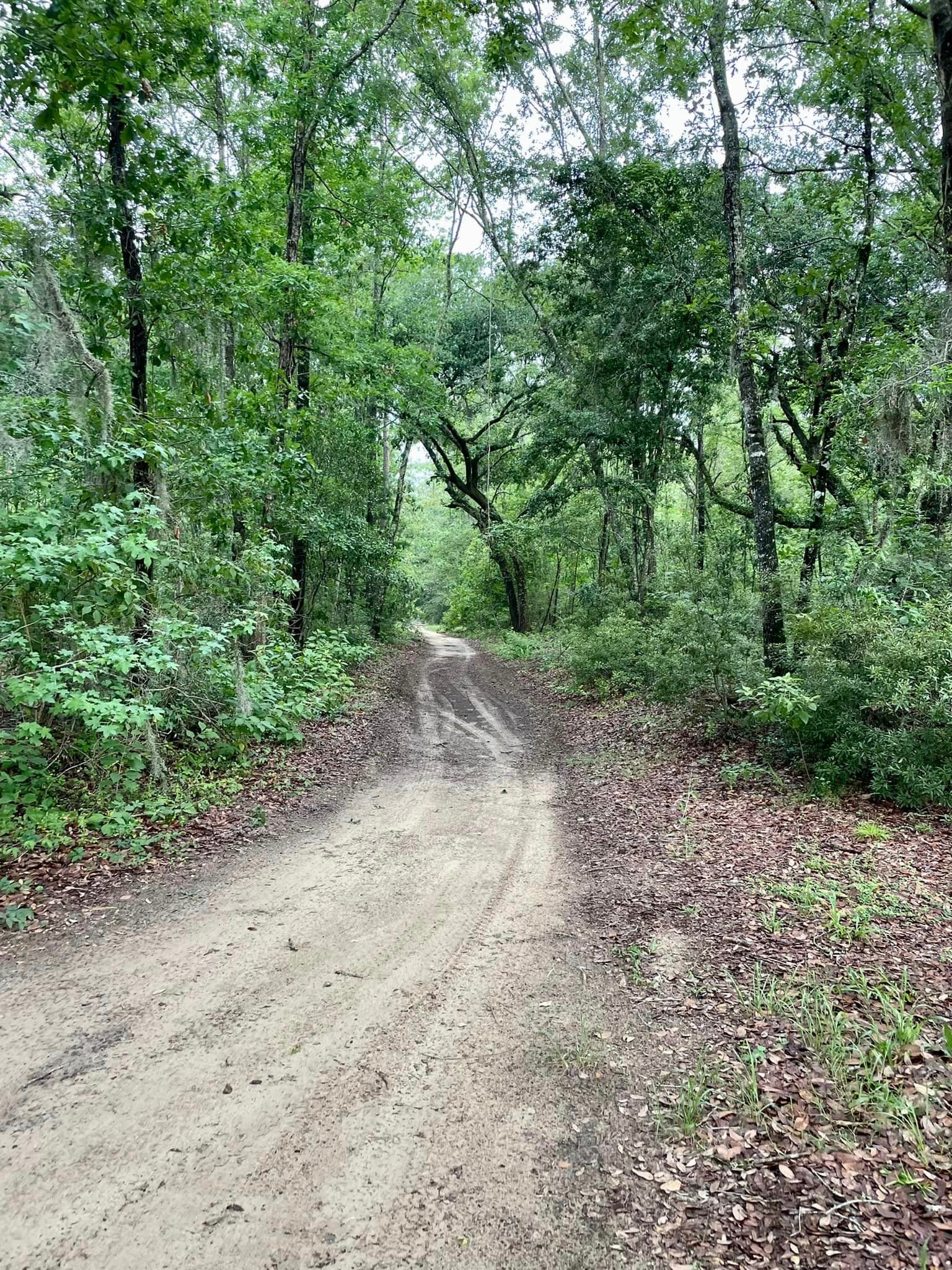 Trail System Photos - ThePondsSCResidents