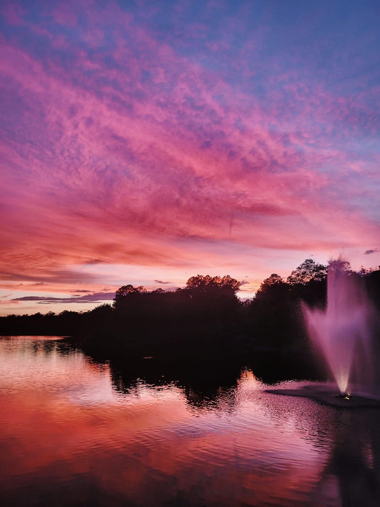 Nature Scenes Page - ThePondsSCResidents