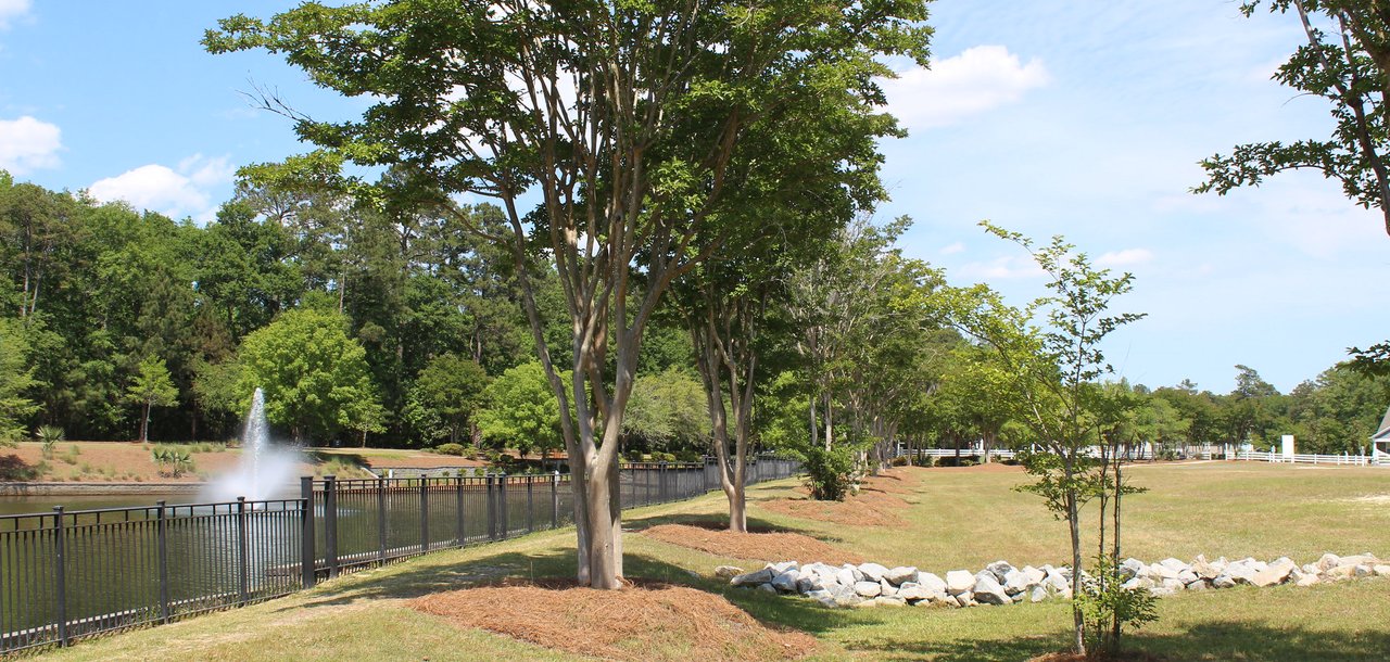 Amenities - ThePondsSCResidents