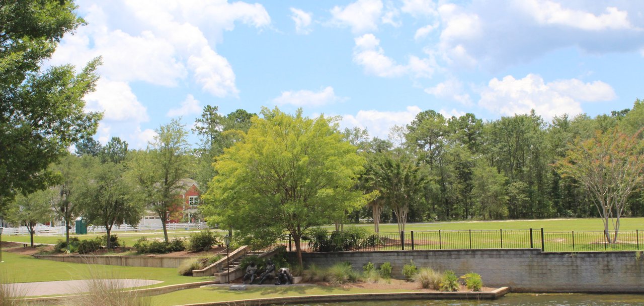 Amenities - ThePondsSCResidents